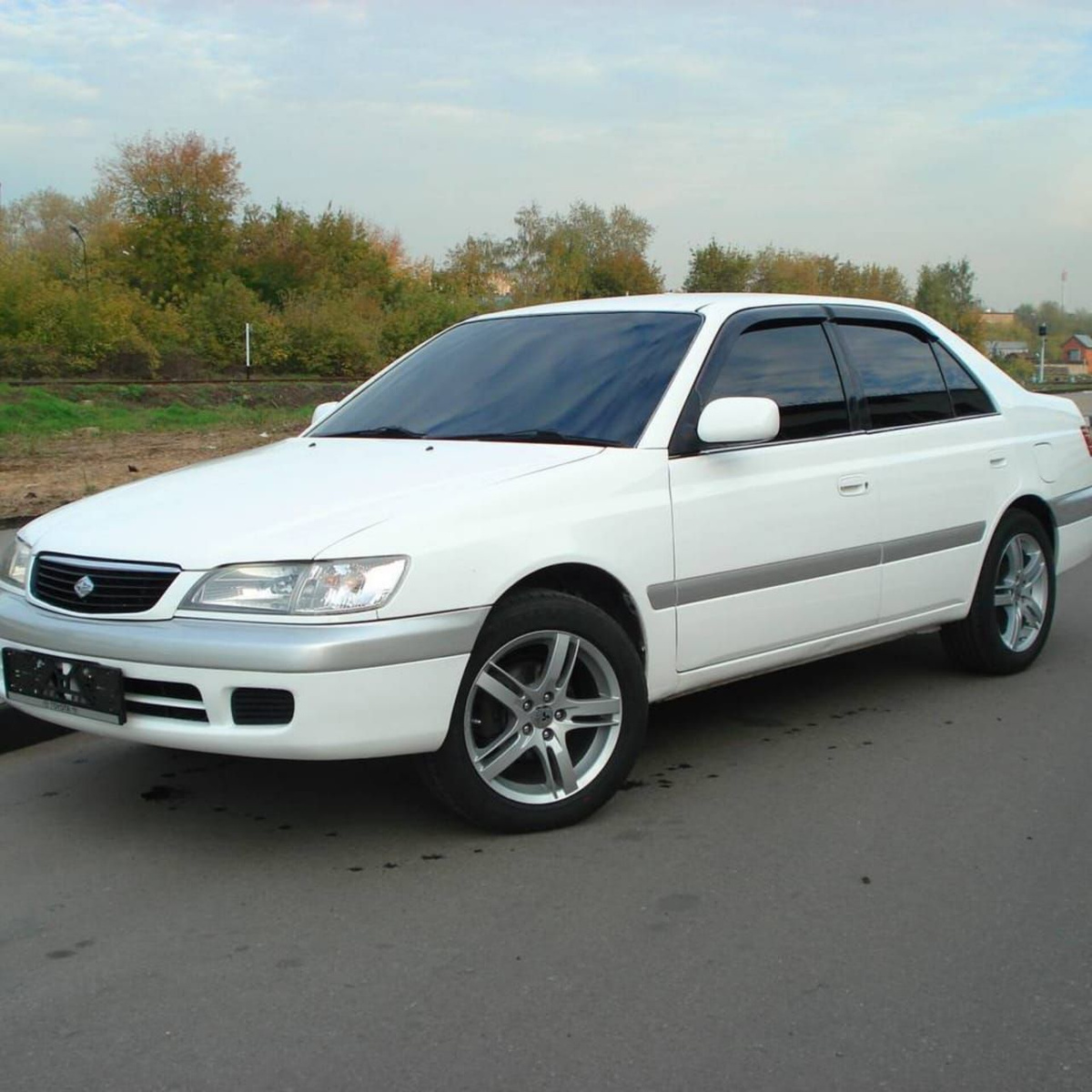 Лампа автомобильная TOP-PRICE 12 В, 14 шт. 666267 купить c доставкой на ...