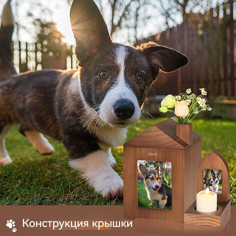 Урна для кошек и собак, урна для кремации домашних животных, древесина ...