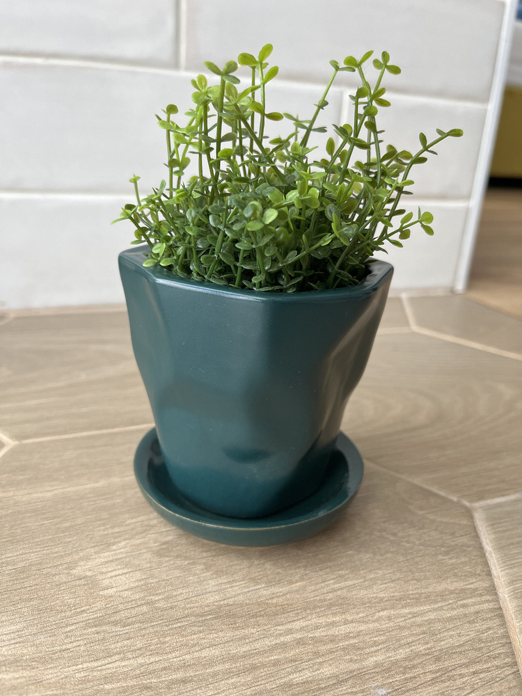 4youwear Горшок для цветов, малахит, 9 см х 9 см, 0,2 л, 1 шт - купить ...