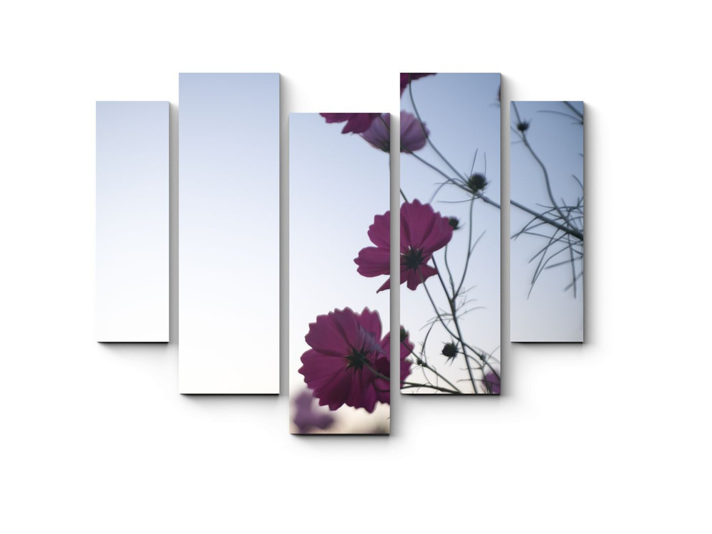 Модульная картина Вечерняя космея - купить по выгодной цене в интернет ...