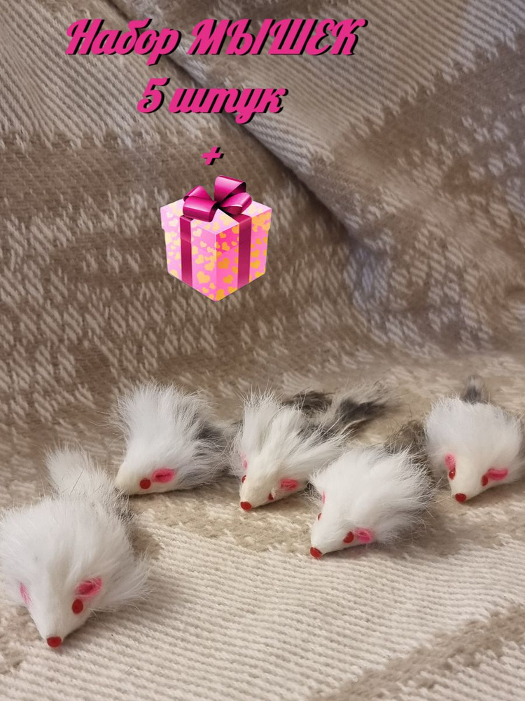 Игрушки для кошки Мышки. Набор мышек - купить с доставкой по выгодным ...