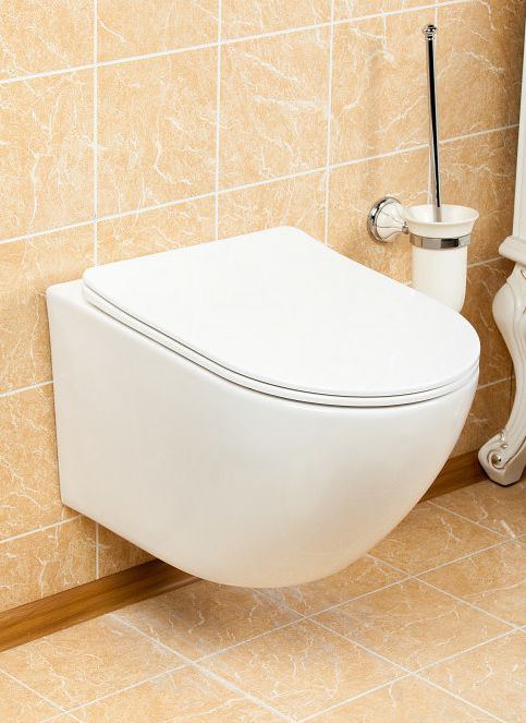 Унитаз подвесной Zandini Garda Z19-05 безободковый, белый купить на OZON по низкой цене (829550428)