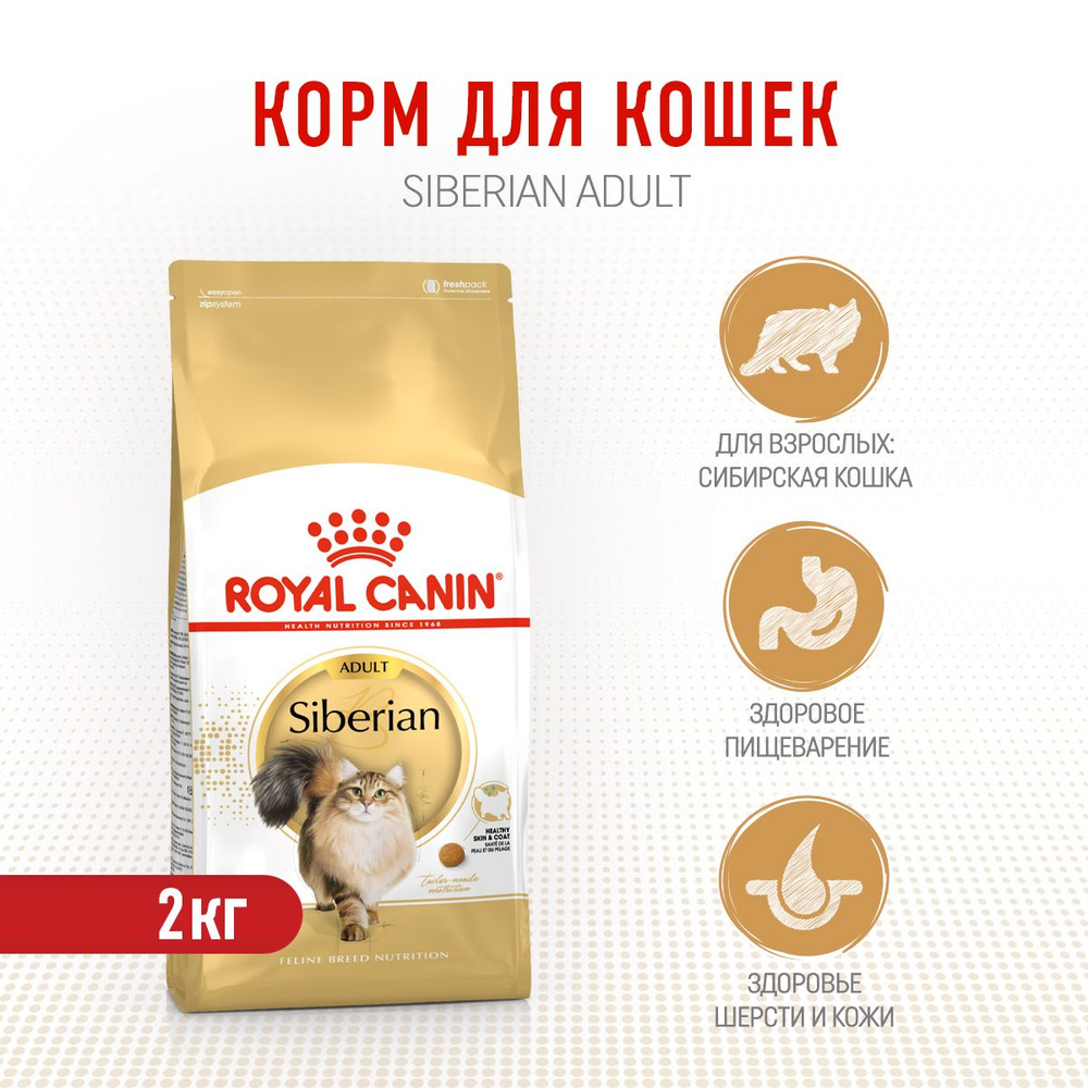 Royal Canin Siberian Adult сухой корм для взрослых кошек сибирской ...
