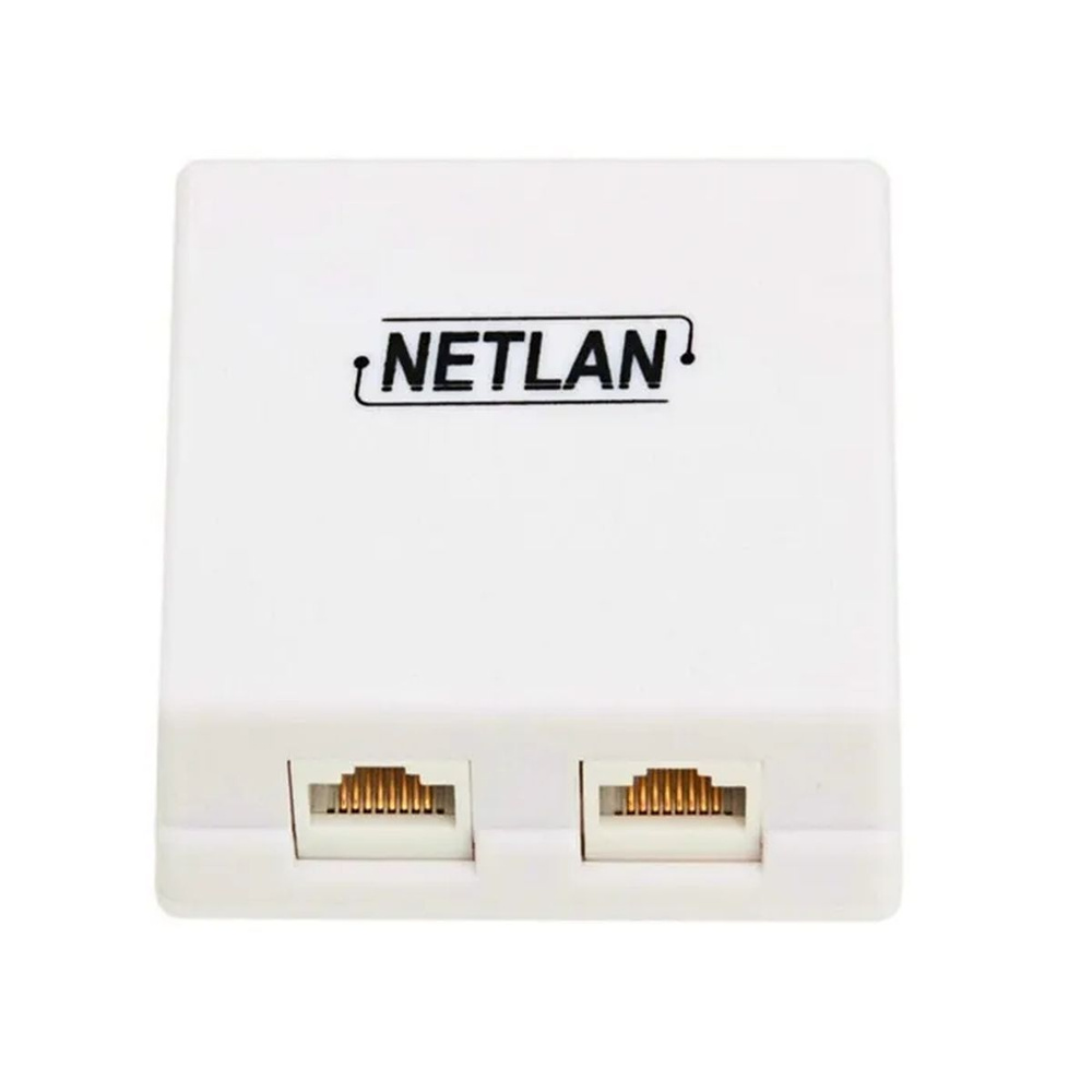 Настенная розетка NETLAN, 2 порта, Кат.5e (Класс D), 100МГц, RJ45/8P8C, 110, T568A/B, неэкран ...
