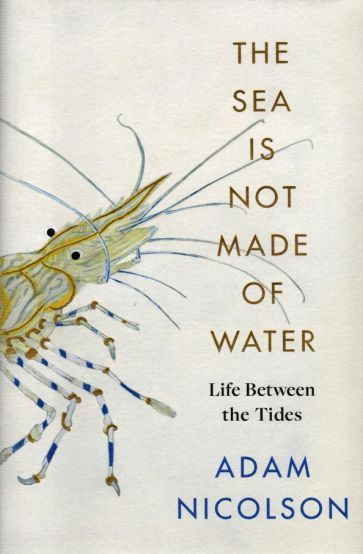 Adam Nicolson - The Sea is Not Made of Water. Life Between the Tides ...