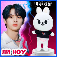 Stray kids брелок Wolf Chan / мягкая игрушка-брелок волк чан / SKZOO ...