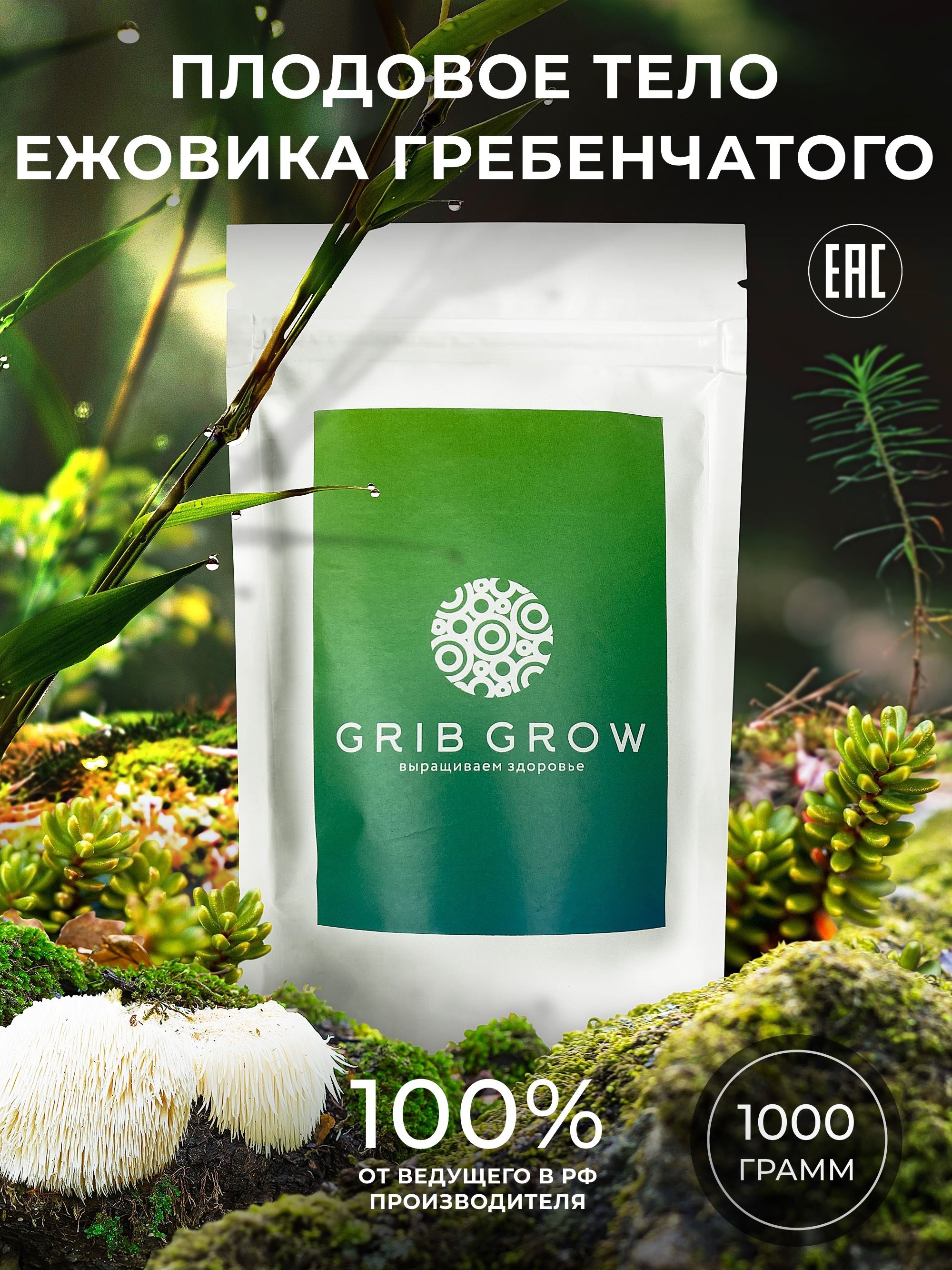 Ежовик Гребенчатый плодовое тело Grib Grow - 1 кг купить на OZON по ...
