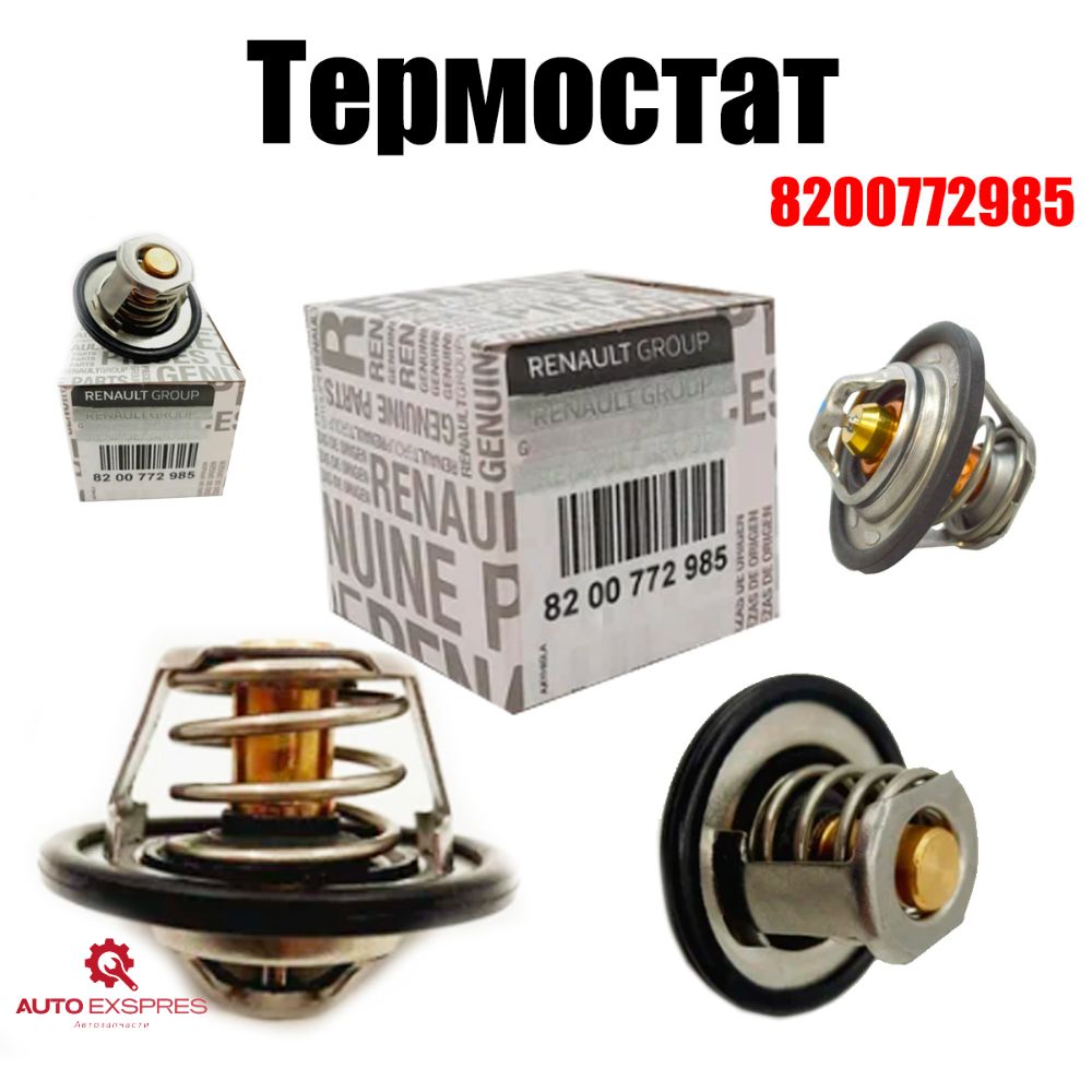 Термостат Renault RENAULT арт. 8200772985 купить на OZON по низкой цене ...