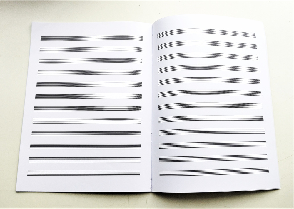 Музыка Тетрадь A4 (21 × 29.7 см), 1 шт., листов: 24 купить на OZON по низкой цене (308628926)