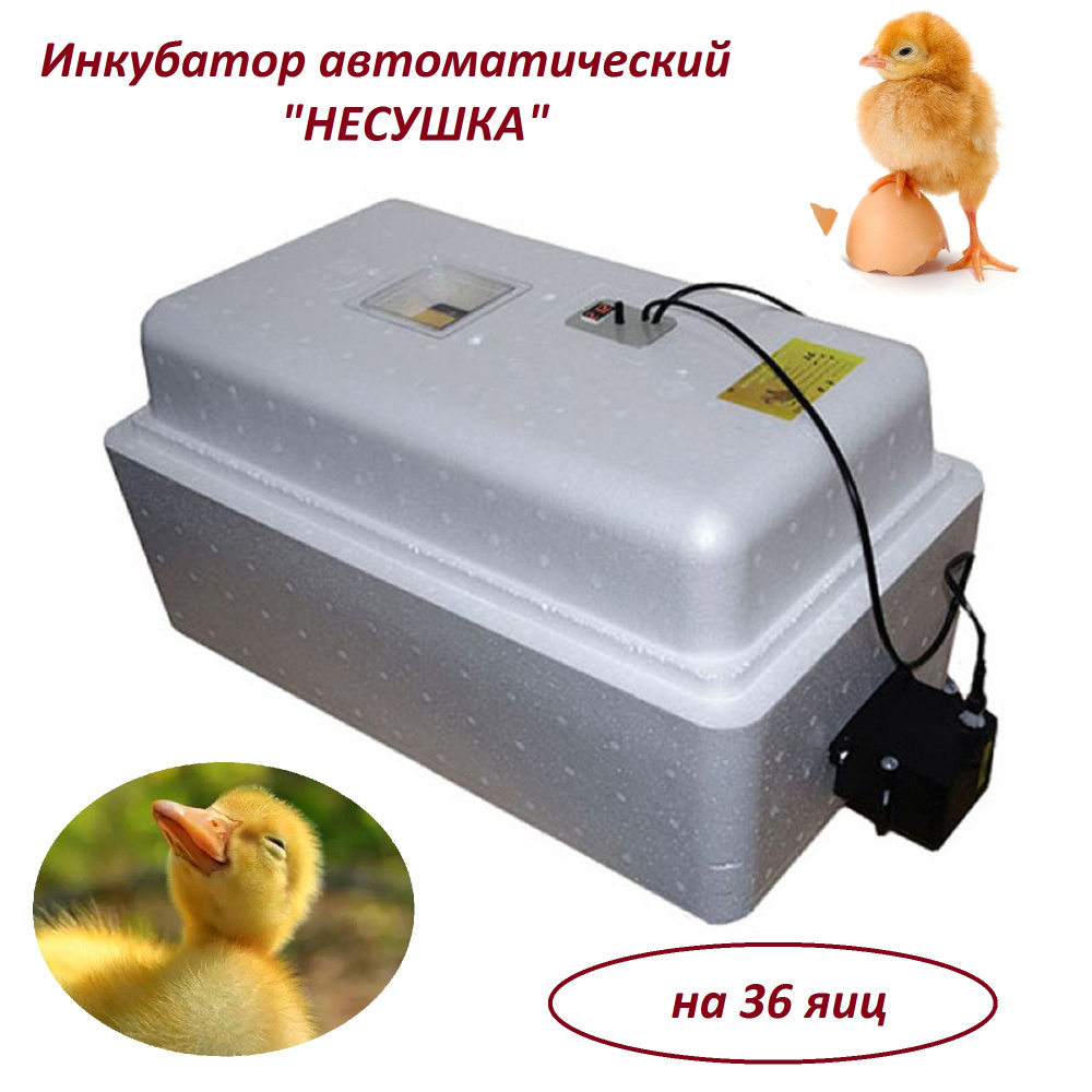 Инкубатор автоматический "Несушка" на 36 яиц, 220 В/12 В, аналоговый ...