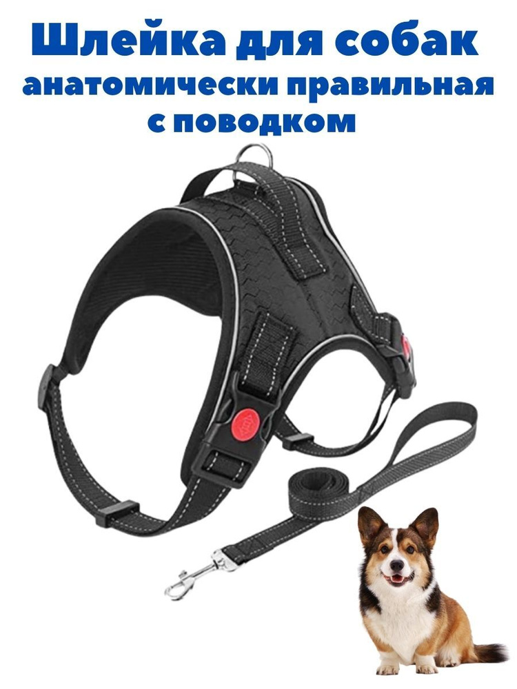 Шлейка для собак дышащая с поводком анатомическая со светоотражающими ...
