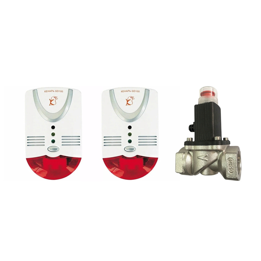Система контроля загазованности Кенарь GD100-N + GD100-C + GV-80 DN20 ...