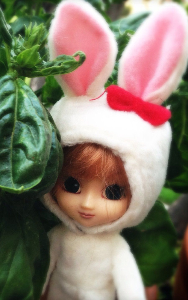 Кукла Little Pullip Leprotto- Маленькая (Мини) Пуллип Зайка - купить с ...
