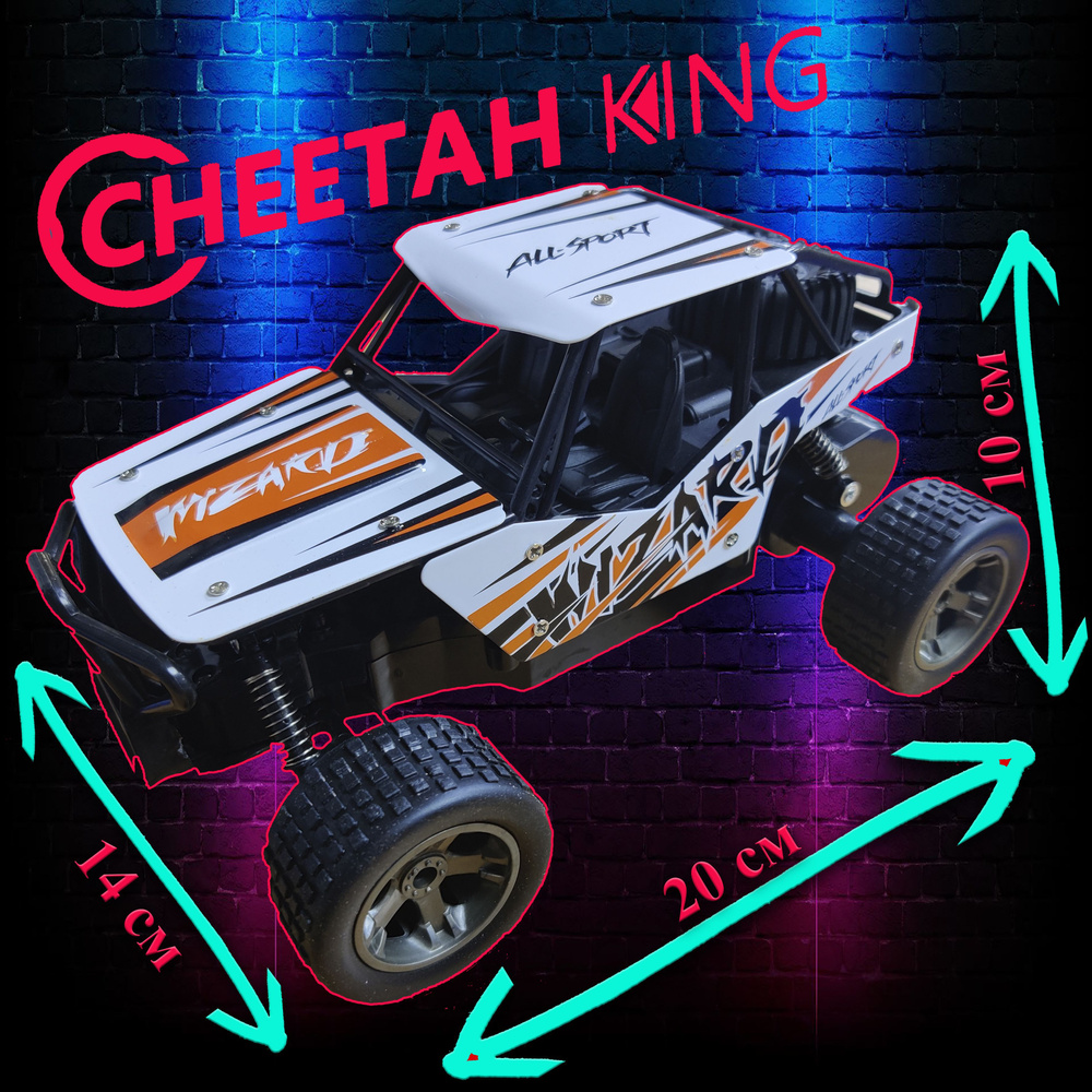 Машинка гоночная KING CHEETAH Wizard 1:18 2,4 ГГц LR-C0010 (бело ...