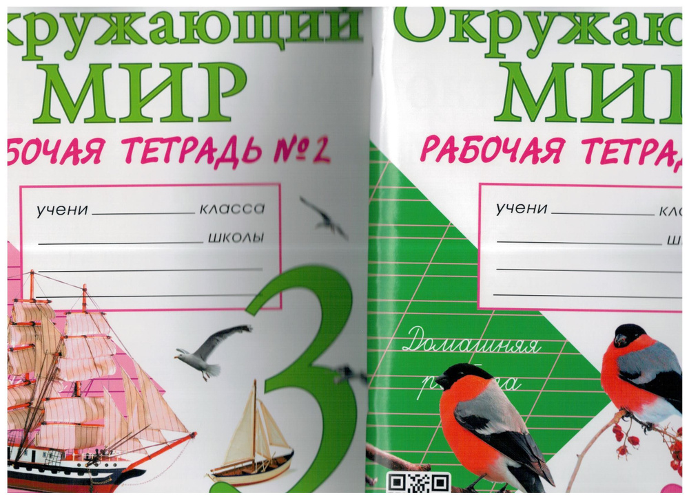 Окружающий мир. 3 класс. Рабочая тетрадь. В 2-х частях | Соколова ...