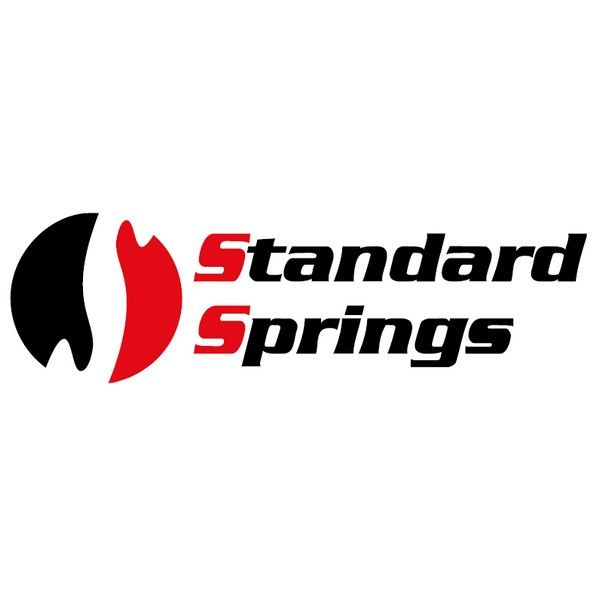 Пружина подвески STANDARD SPRINGS для BMW F22,F23,F30,F31,F34,F80,F87 ...