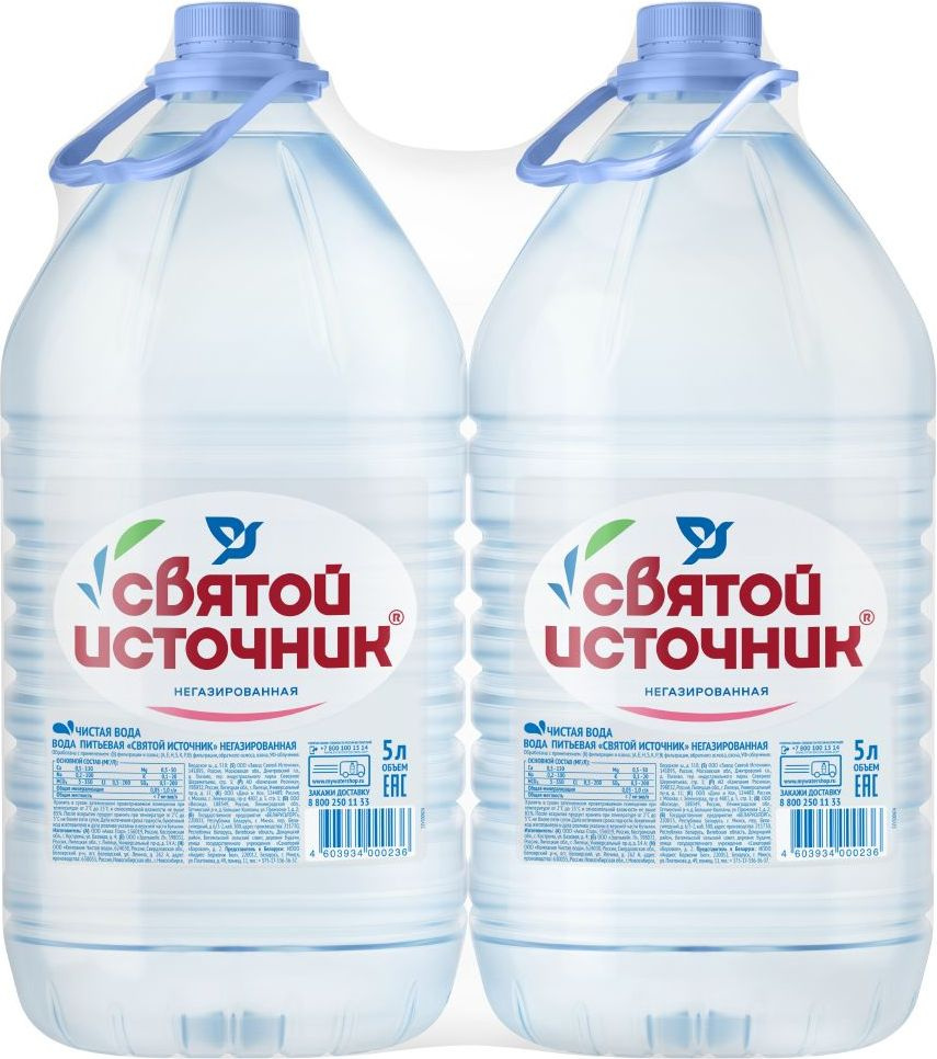 Вода негазированная Святой Источник, 2 шт х 5 л - купить с доставкой по ...