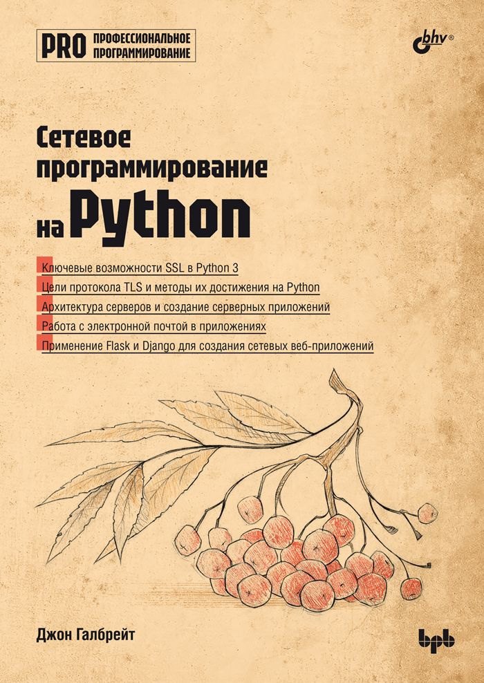Сетевое программирование на Python купить с доставкой по выгодным ценам в интернет магазине
