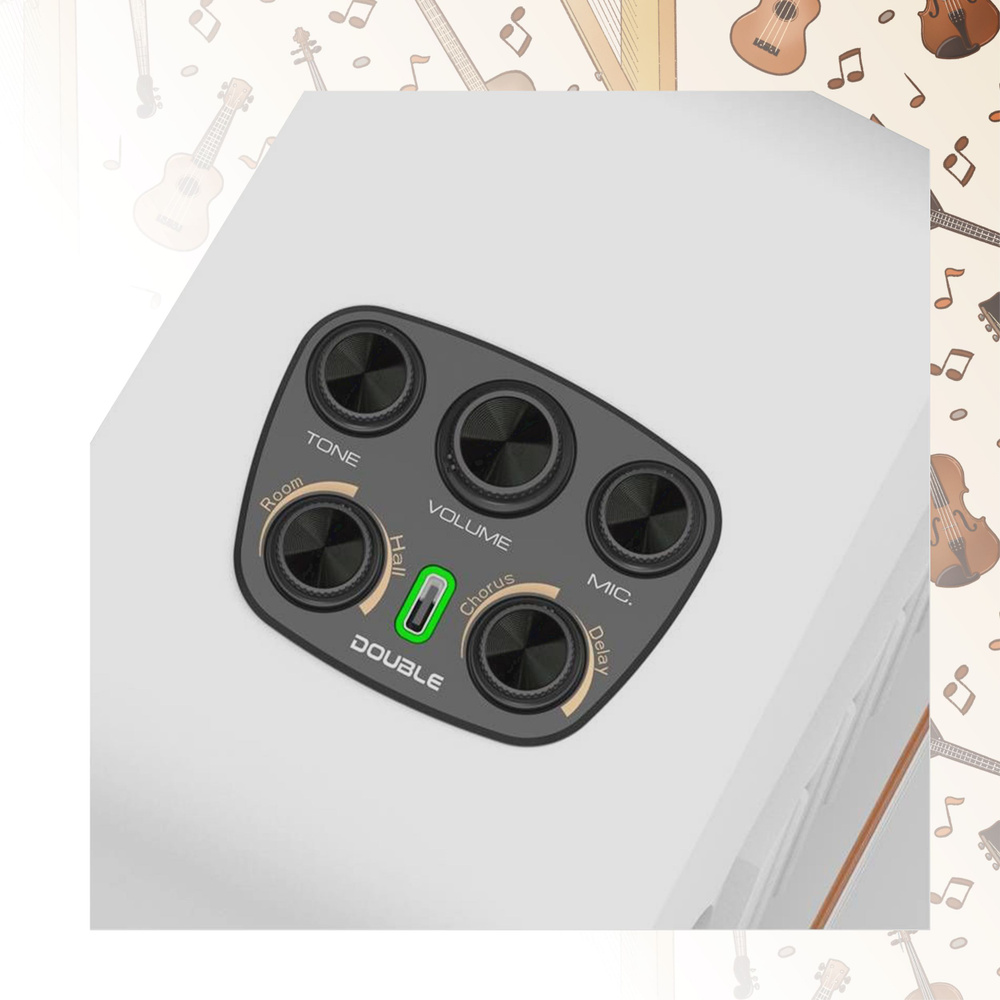 Звукосниматель трансакустический X2 DOUBLE S1 PRO V3 - купить с ...