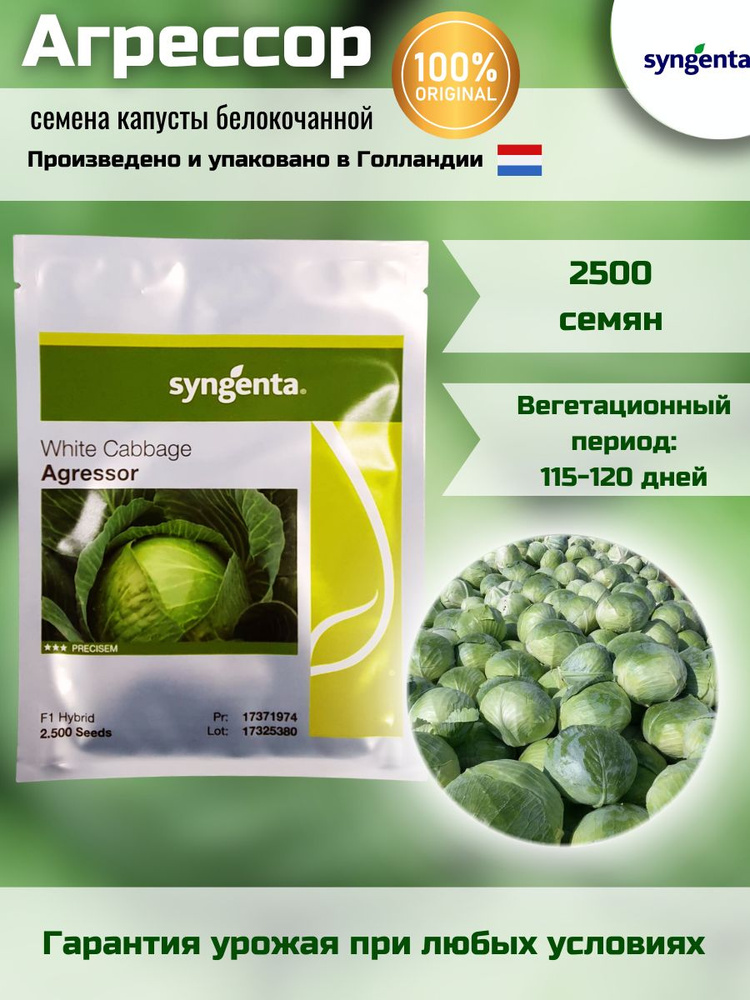 Капуста Syngenta АГРЕССОР F1 - КАПУСТА БЕЛОКОЧАННАЯ, 2 500 Cемян ...