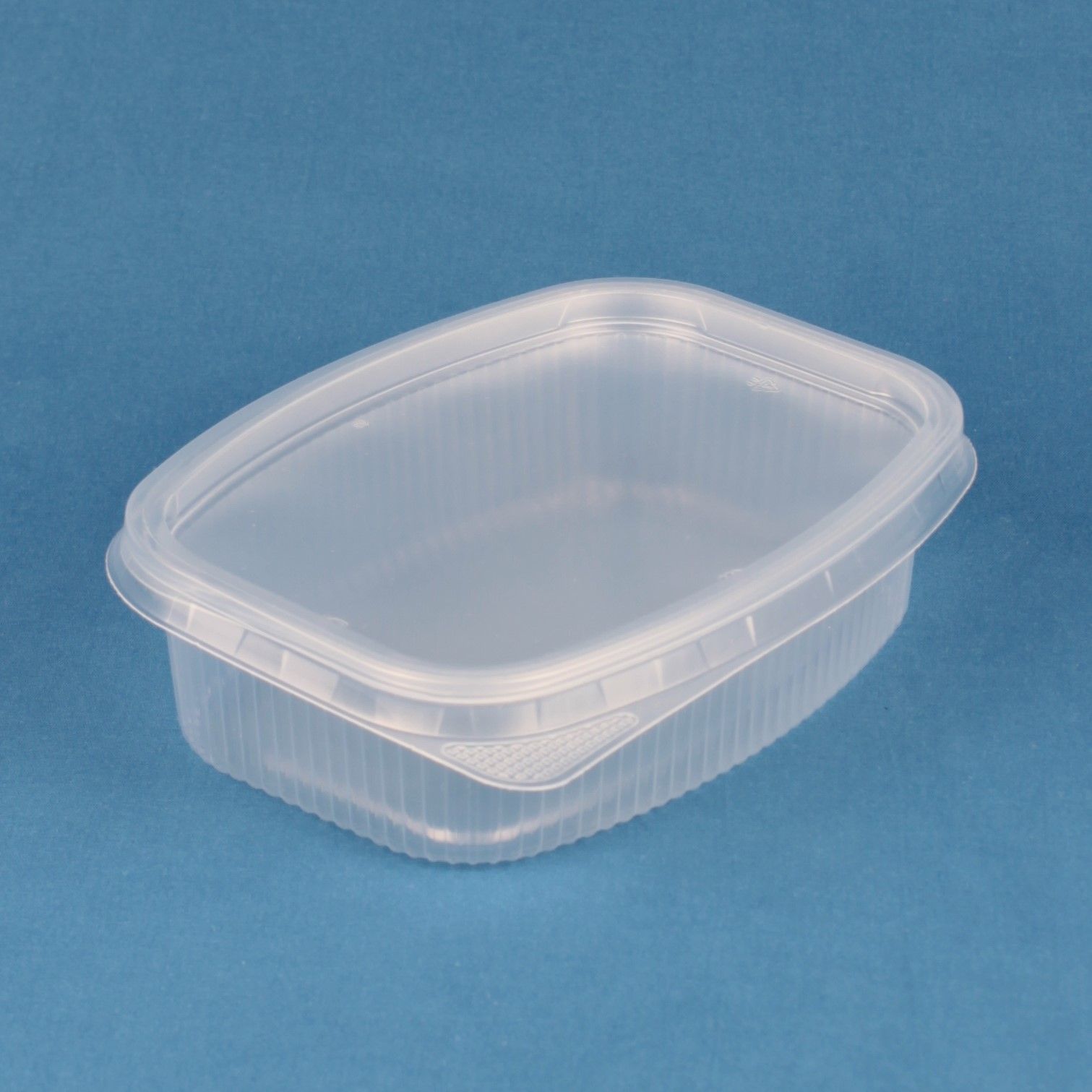 Контейнер одноразовый (10 предметов) SoftHome - купить по выгодной цене в интернет-магазине OZON ...