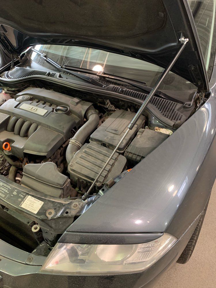 Газовые упоры (амортизаторы) капота для Skoda Octavia A5, Фронт, 2004 ...
