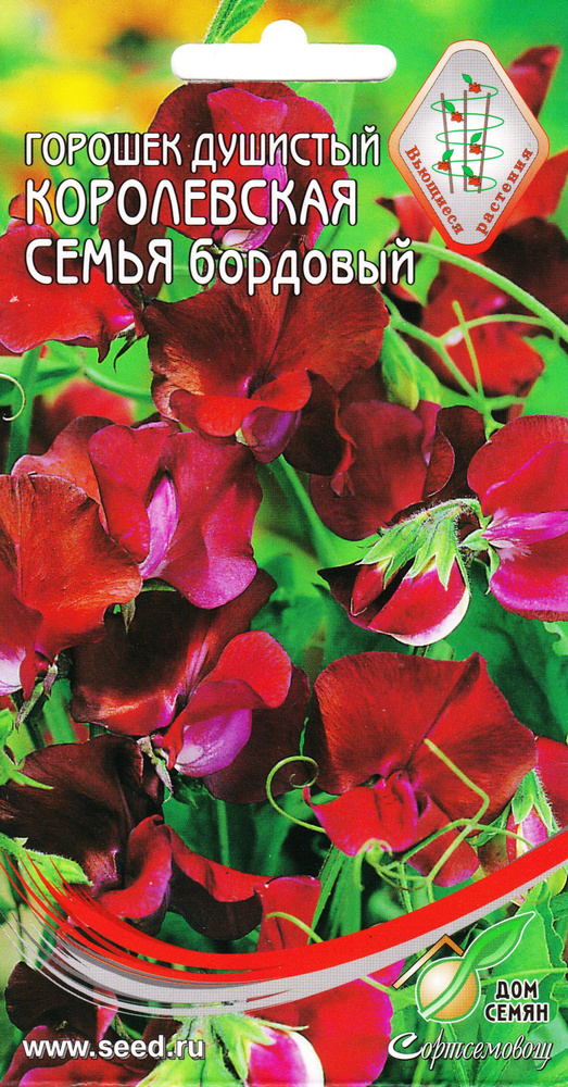 Декоративные разные, Душистые горошки однолетние Дом Семян Горошек ...