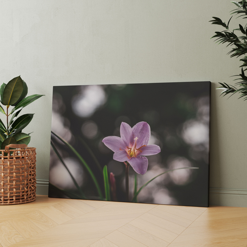Картина на холсте (Сиреневый лилейник, лилия, цветок, растение) 30 40 ...