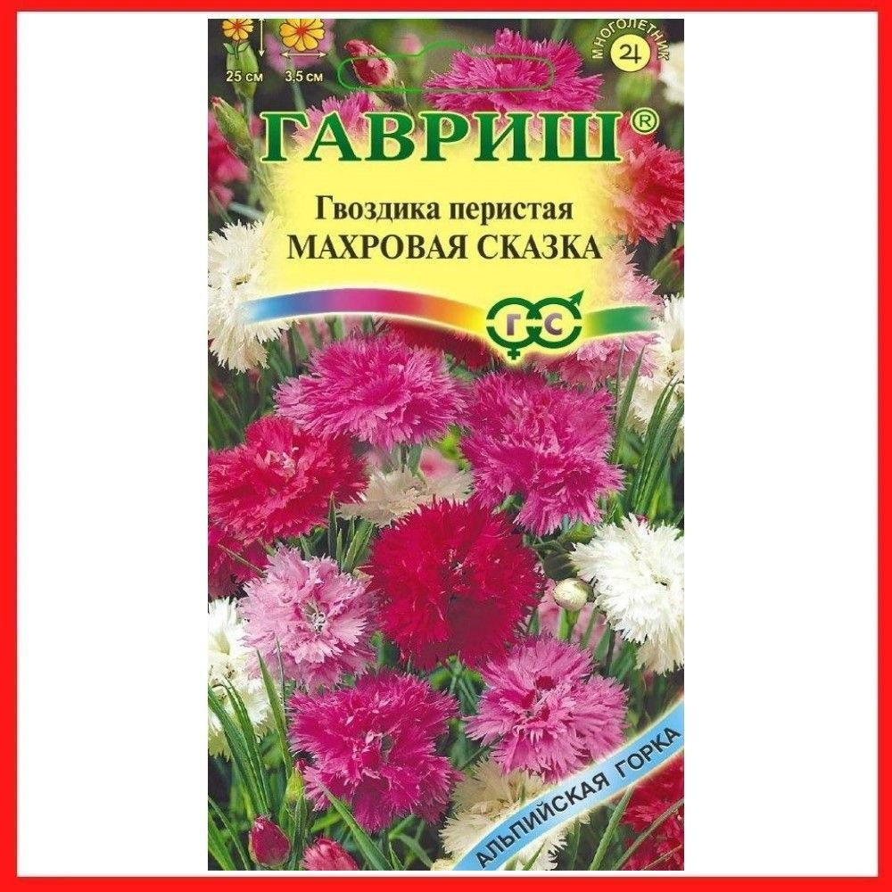 Гвоздики многолетние Гавриш Гвоздика альпийская "Розовая"_красный ...