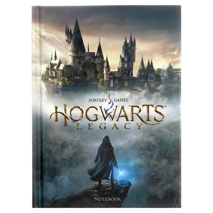 Записная книжка, А6, 48 листов, в клетку, "Hogwarts Legacy. Гарри ...