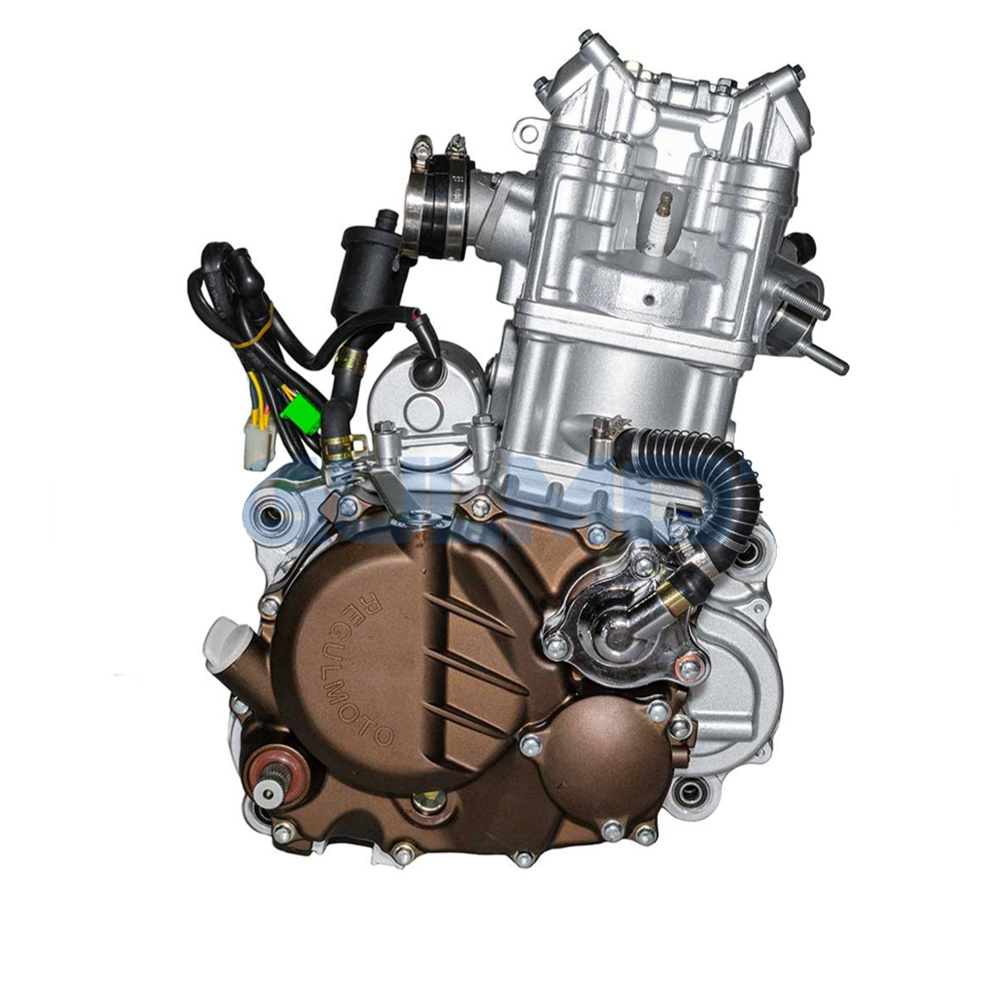 REGULMOTO Двигатель для мототехники (Бензин), 300 см³ - купить с ...