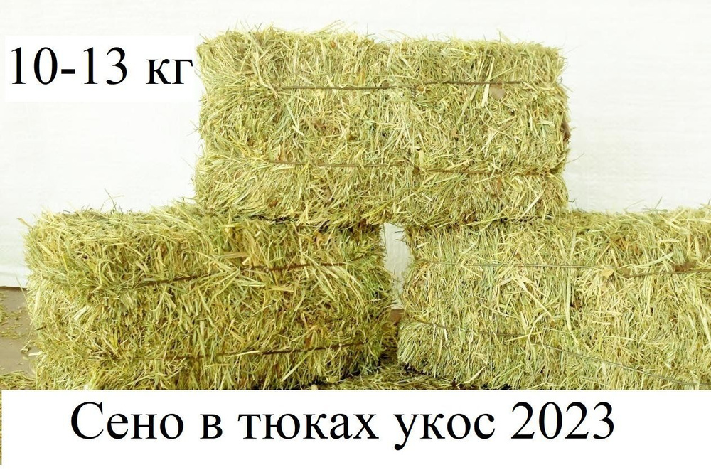 Сено в тюках луговое разнотравье для животных и грызунов 10-13 кг ...