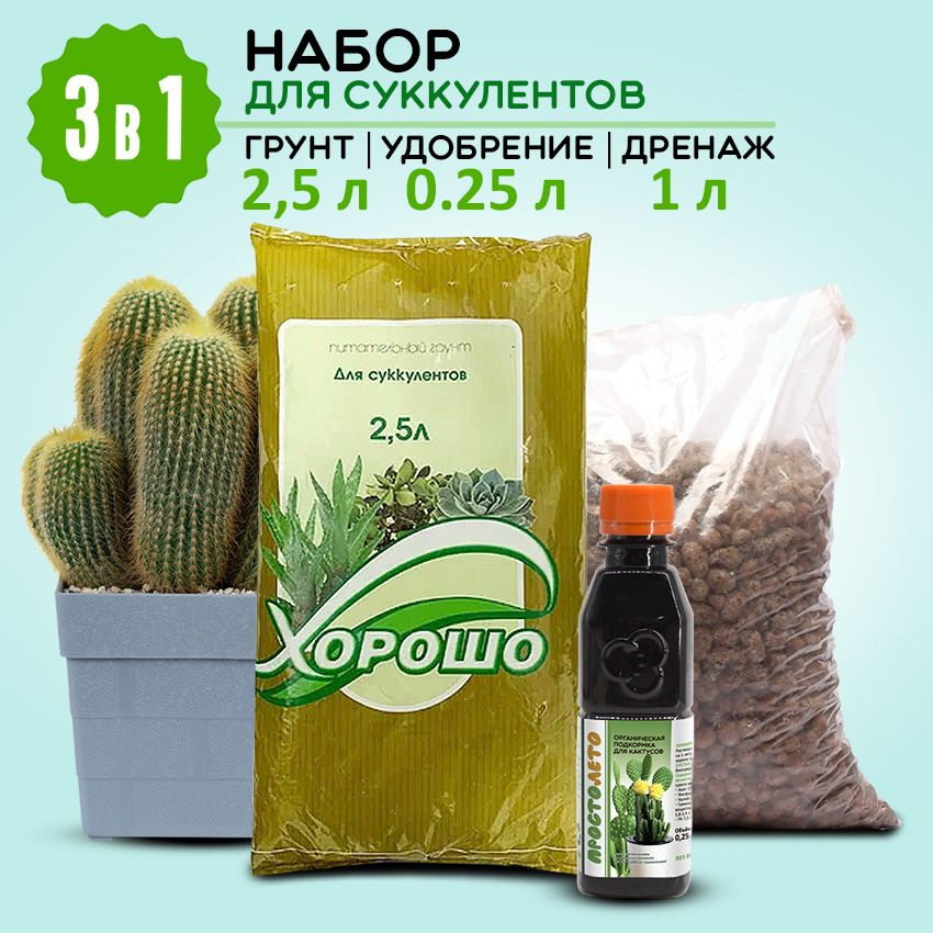 ПРОСТОЛЕТО / Грунт (земля) для Кактусов и Суккулентов. Набор для ...
