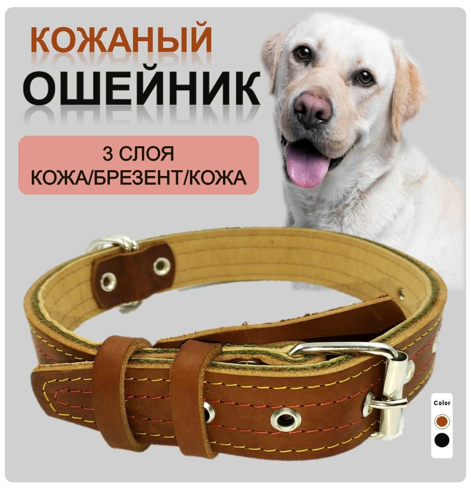 Кожаный ошейник для собак крупных пород, усиленный 70х3,5см, обхват шеи ...