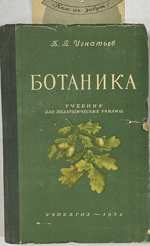 Ботаника.Учебник для педагогических училищ | Игнатьев Борис Варнавович ...