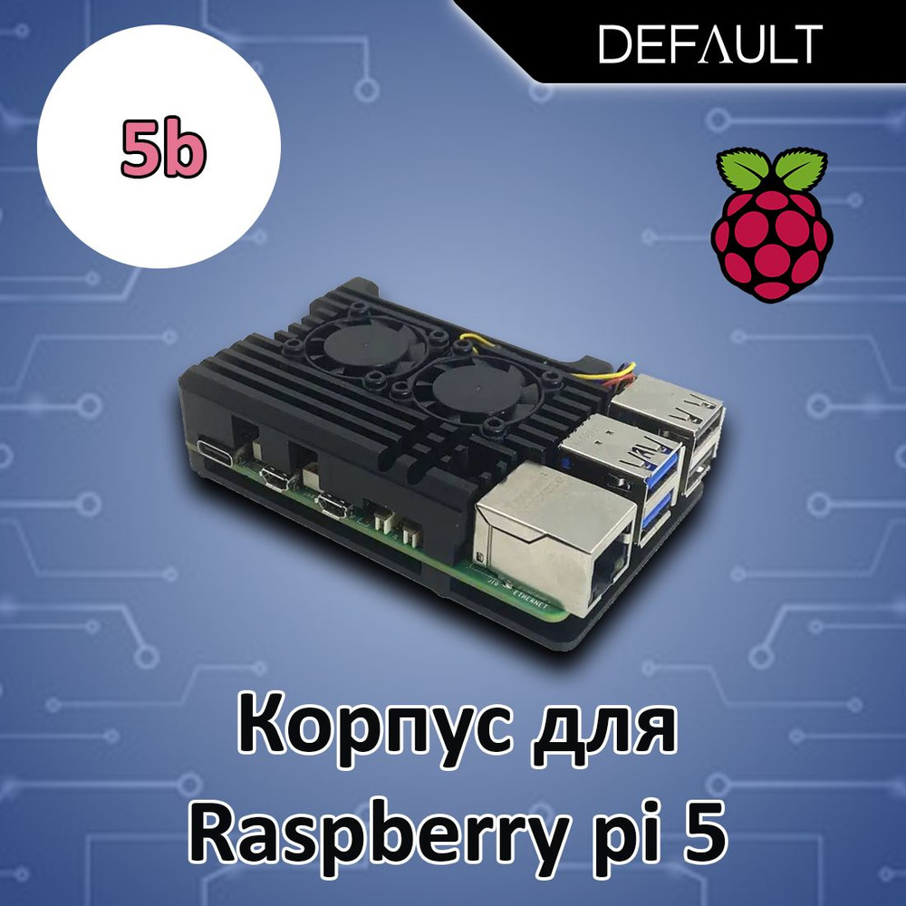 Корпус микрокомпьютера Raspberry Pi Raspberry5corpus купить по низким ценам в интернет