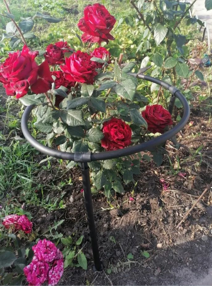 Опора для растений, пионов, кустодержатель для цветов, подпорка для ...