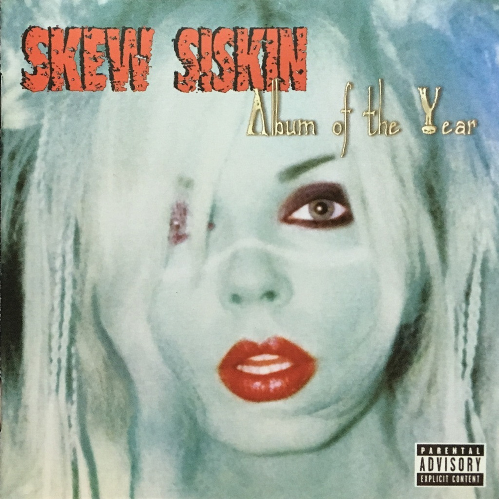 Skew Siskin / Album Of The Year (CD) Музыкальный диск купить на OZON по ...