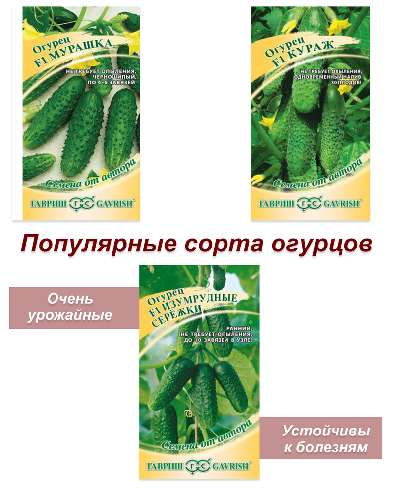 Разнообразные овощи, Огурцы Гавриш семена огурец Кураж, Мурашка ...