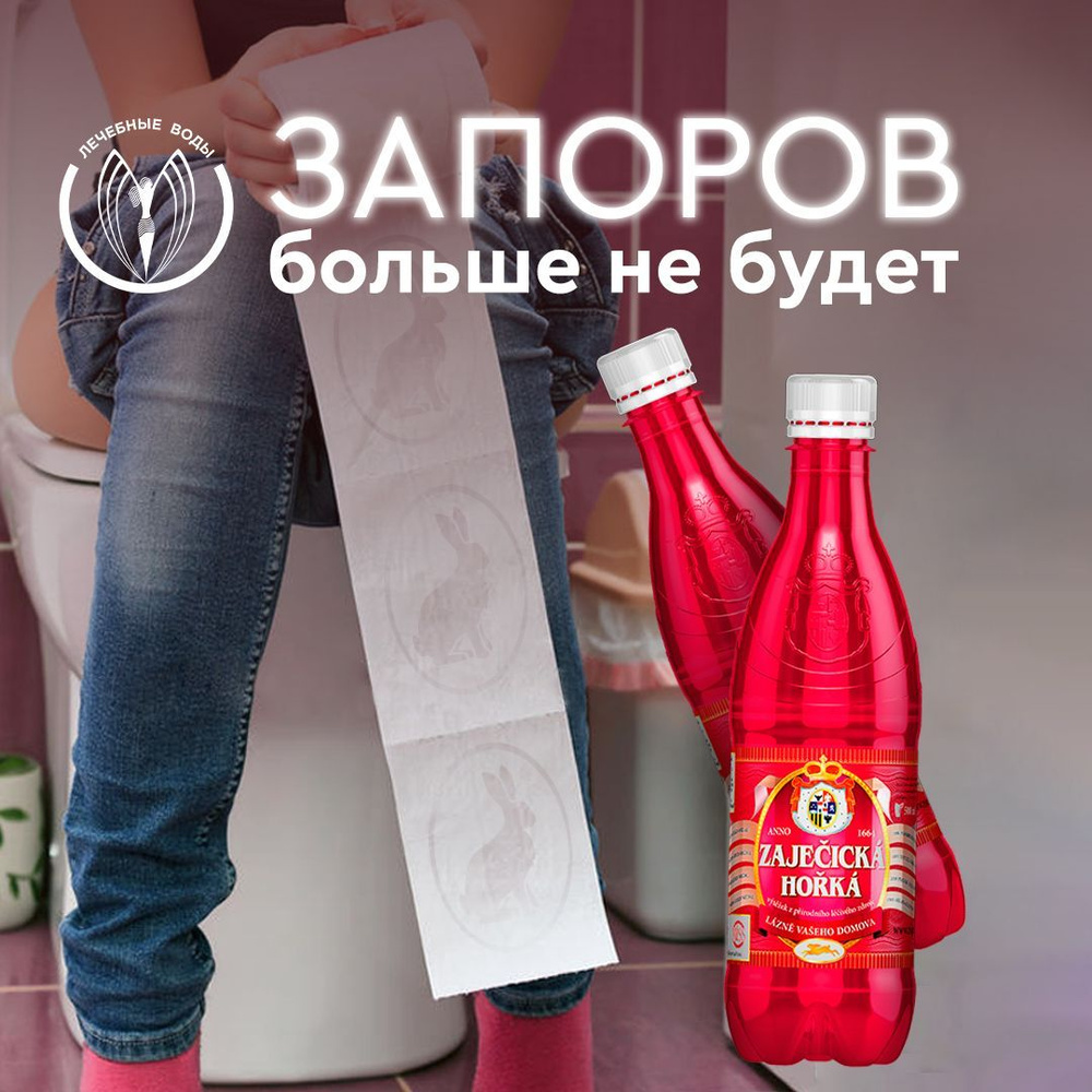 Минеральная лечебная вода Зайечицкая горькая (Zajecicka Horka) 0,5 л ...