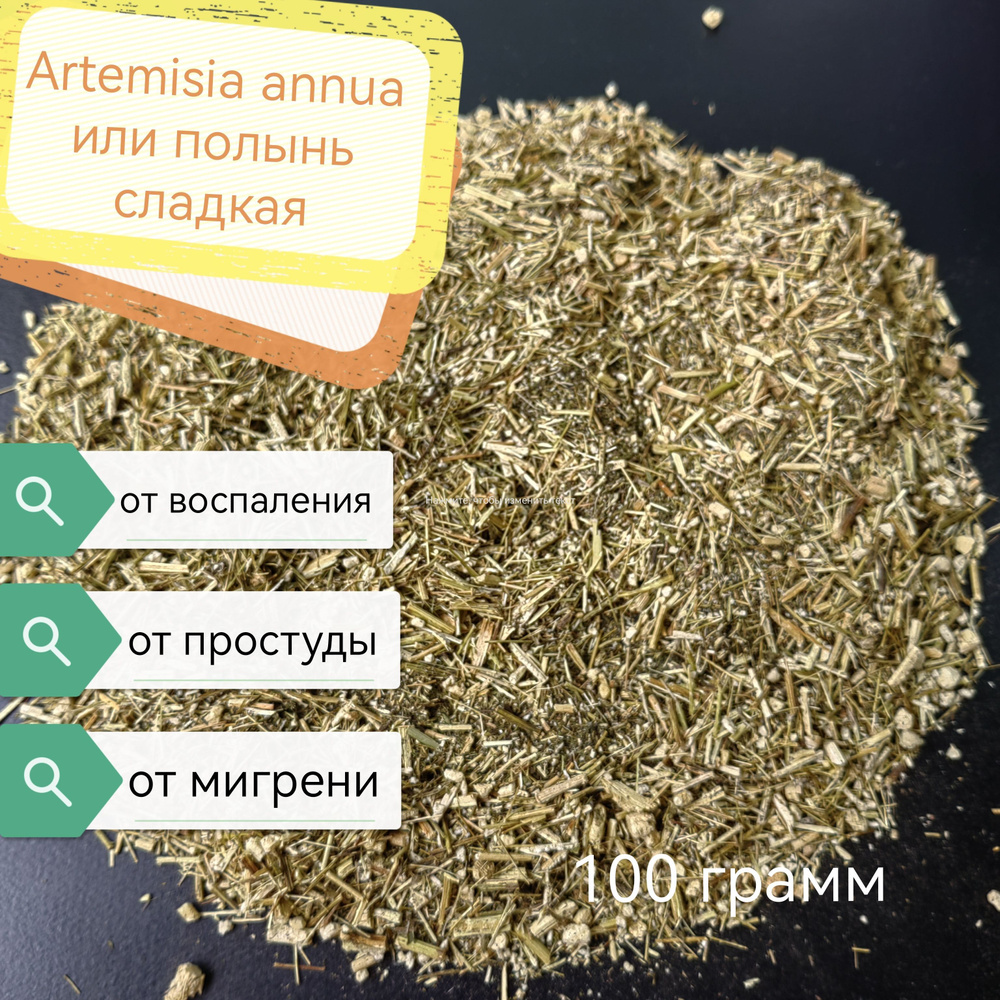 Полынь однолетняя. Мелкой фракции. Artemisia annua - купить с доставкой ...
