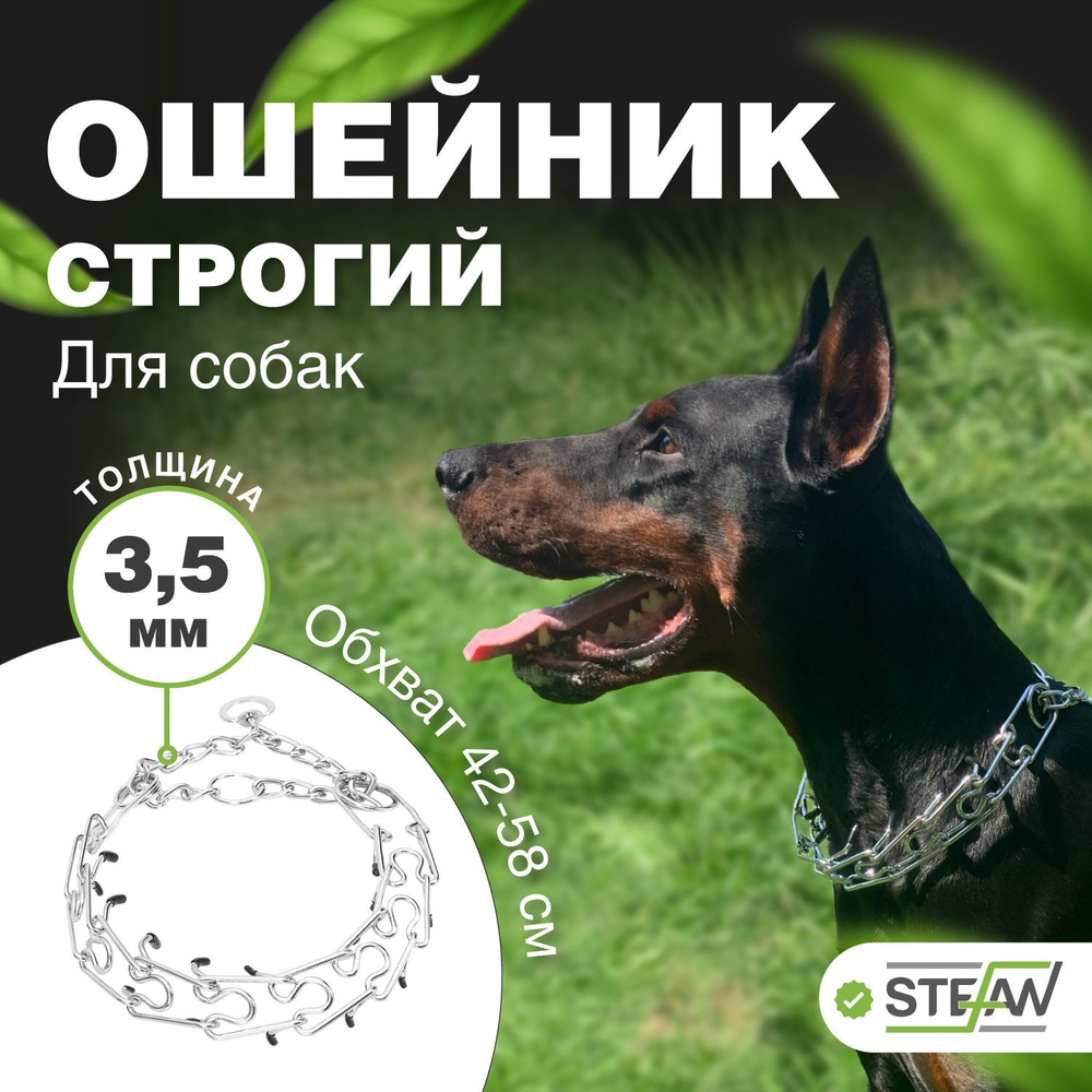 Строгий ошейник для собак КУПЕР STEFAN (Штефан), SC2-4060 - купить с ...