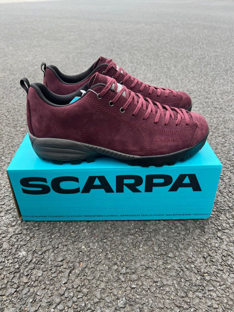 Кроссовки Scarpa - купить с доставкой по выгодным ценам в интернет ...