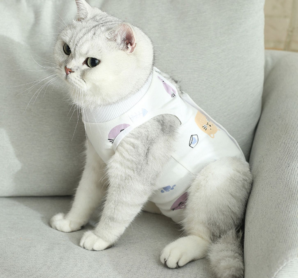 Попона послеоперационная для кошек - купить с доставкой по выгодным ...