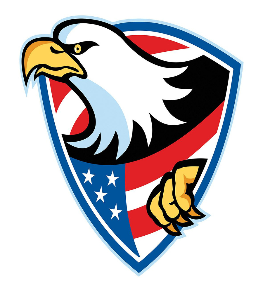 Салфетки на стол для сервировки прямоугольные, плейсмат "Орел и флаг США" JoyArty, 32x46 см, в ...