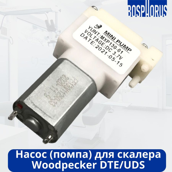 Насос (помпа) для скалера Woodpecker DTE/UDS купить на OZON по низкой цене (2970030492)
