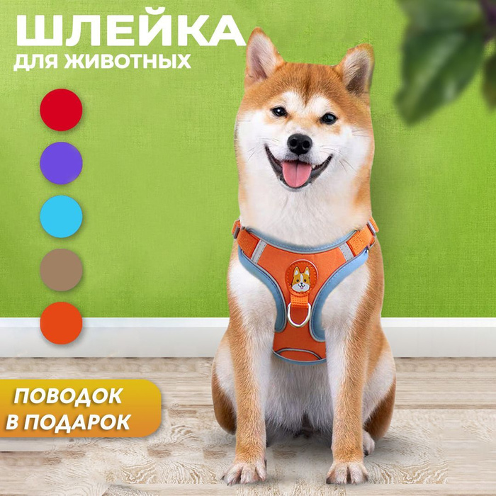 Шлейка для собак и кошек светоотражающая с поводком - купить с ...