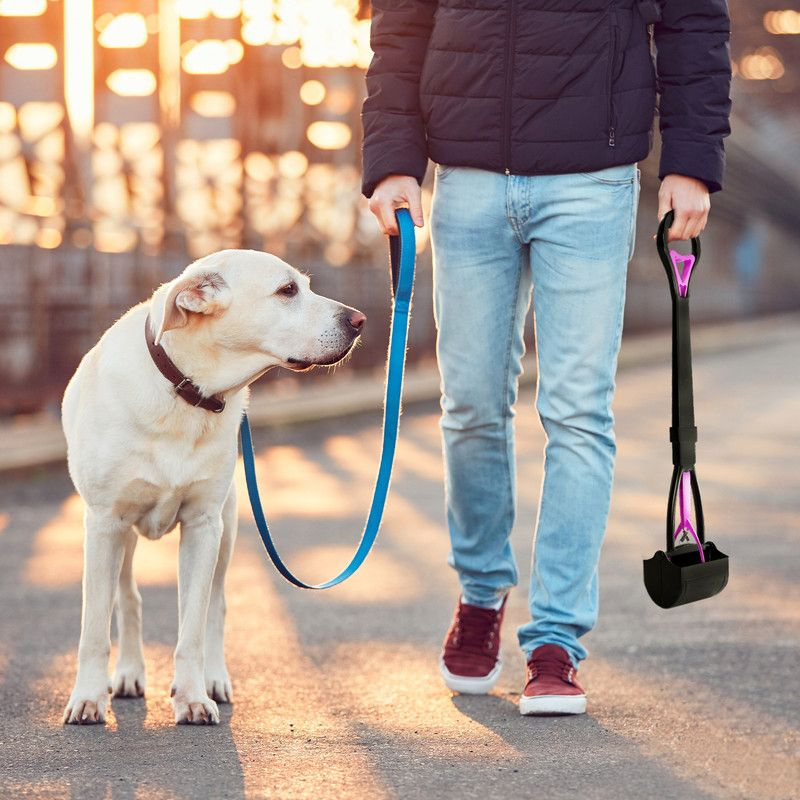 Умный совок для уборки за собакой на улице. Ручной автоуборщик за ...