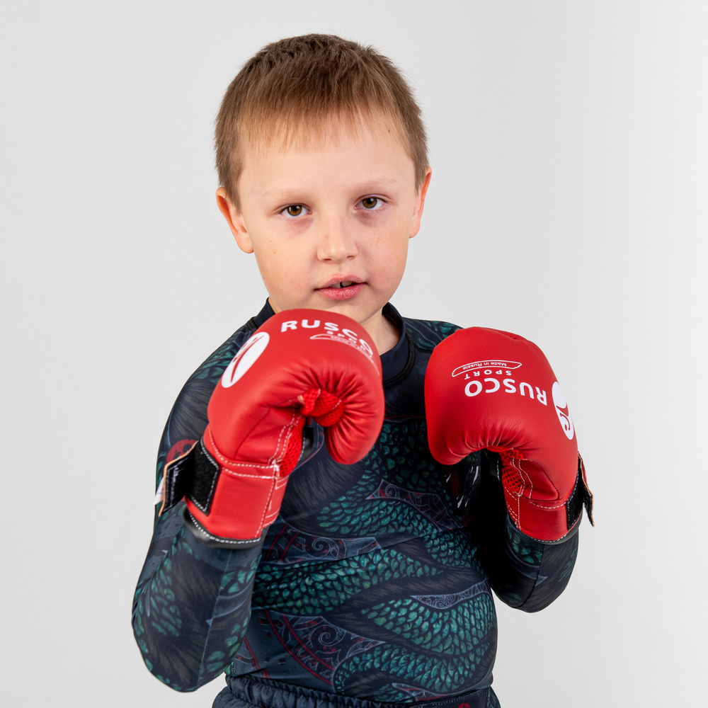 Боксерские перчатки Rusco Sport RuscoSport ксч, 6 - купить по низким ...