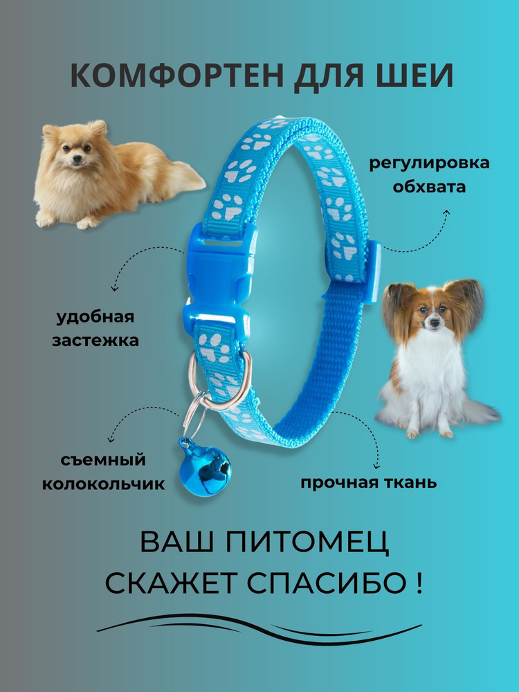 Ошейник для кошек и щенков- - купить с доставкой по выгодным ценам в ...
